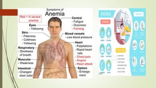 ANEMIA PPT.pptx | Blood Disorders | Diseases and Conditions