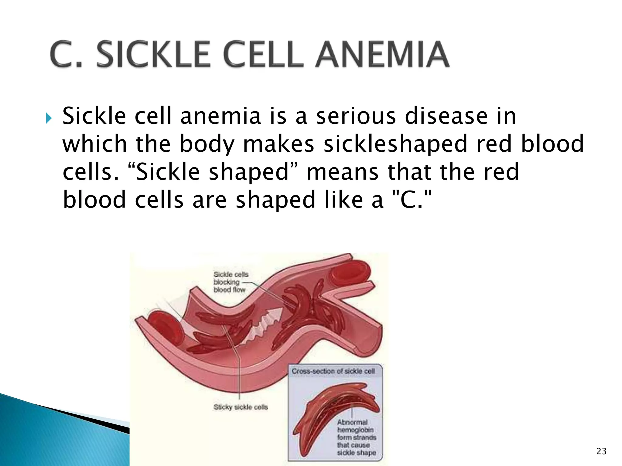 ANEMIA PPT.pptx | Blood Disorders | Diseases and Conditions