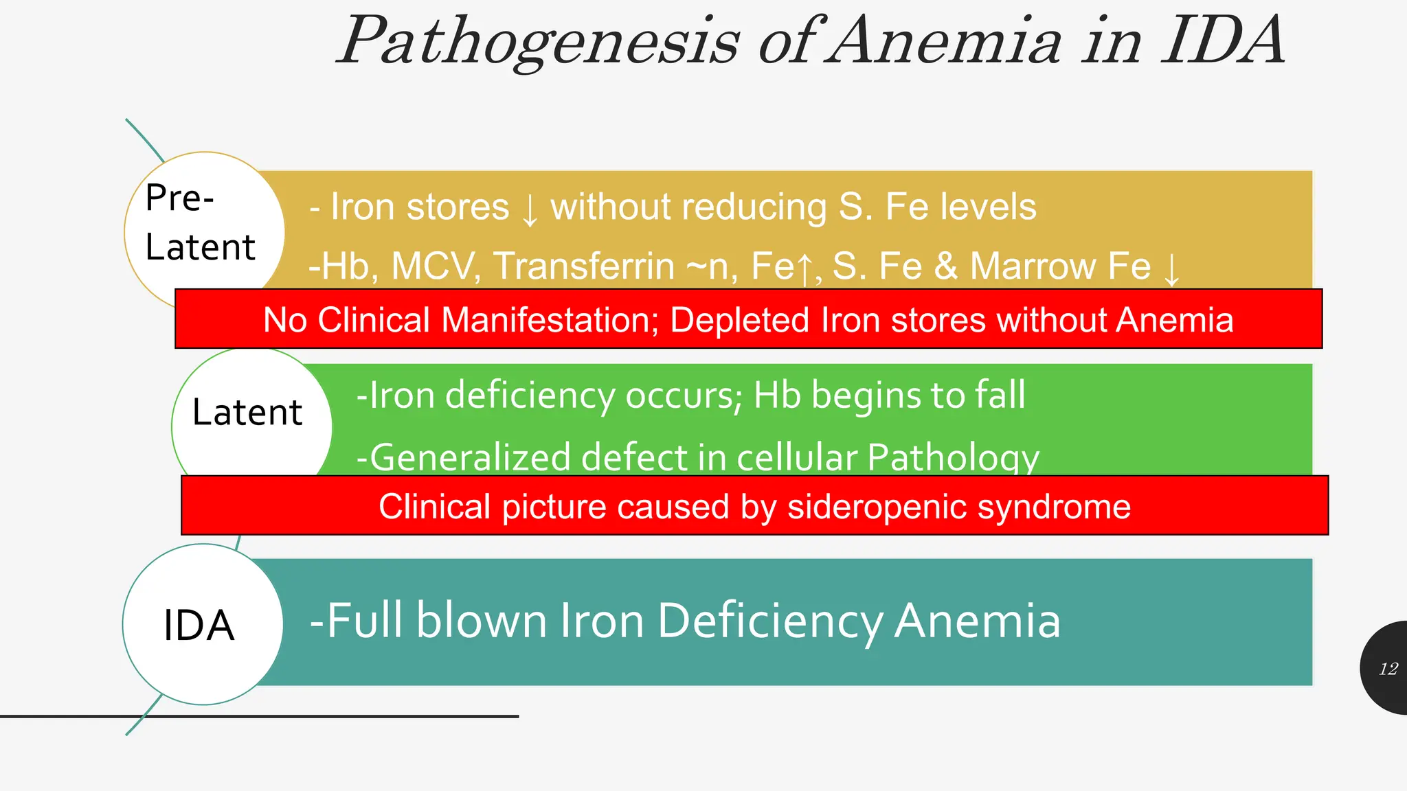 Anemia Profile- modified for study..pptx
