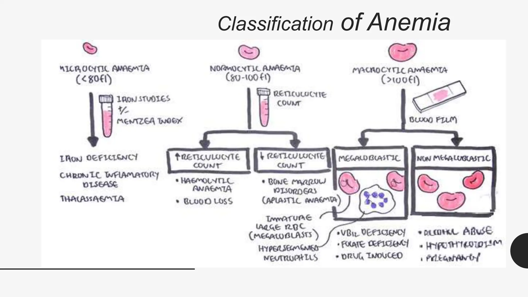Anemia Profile- modified for study..pptx