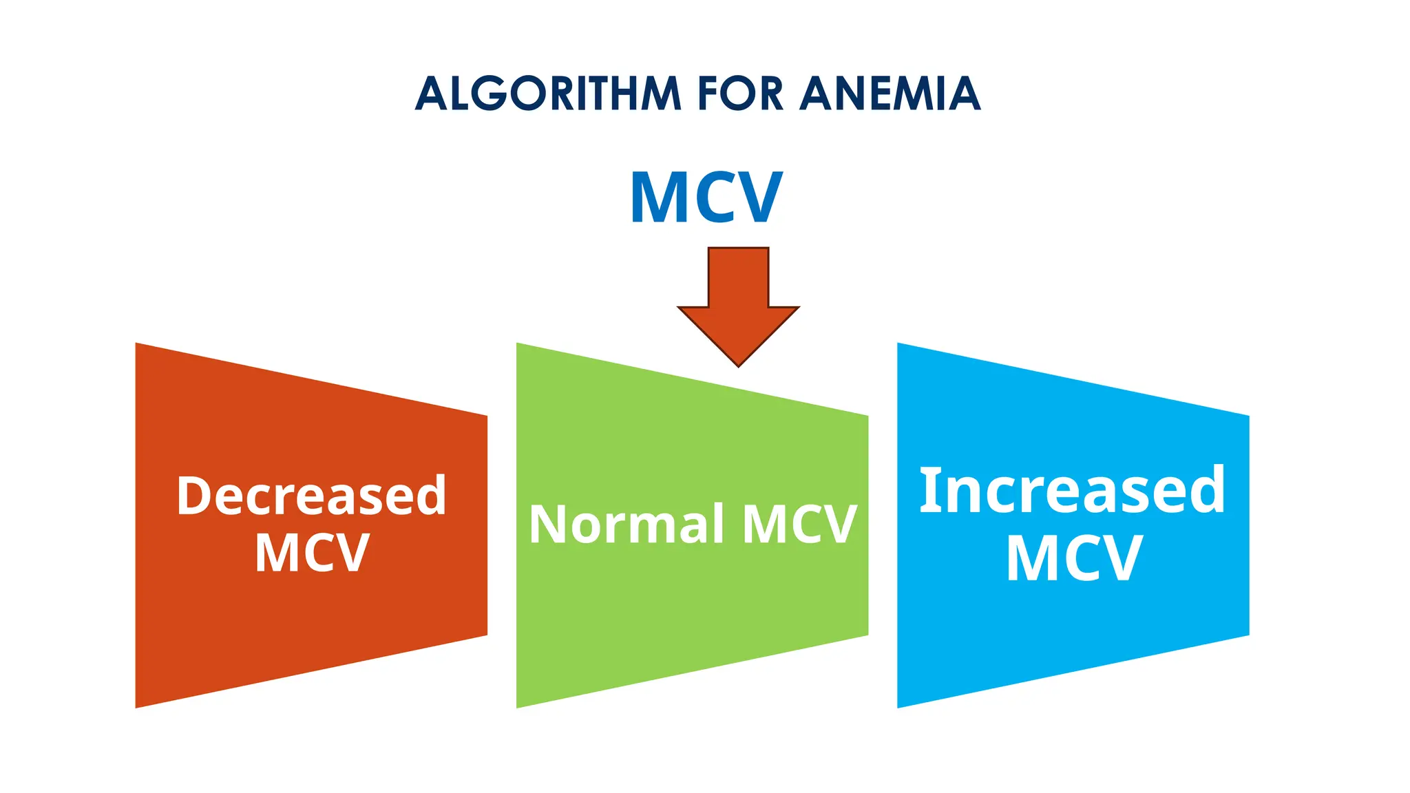 anemia: A Quick Interpretation and Approach.pptx