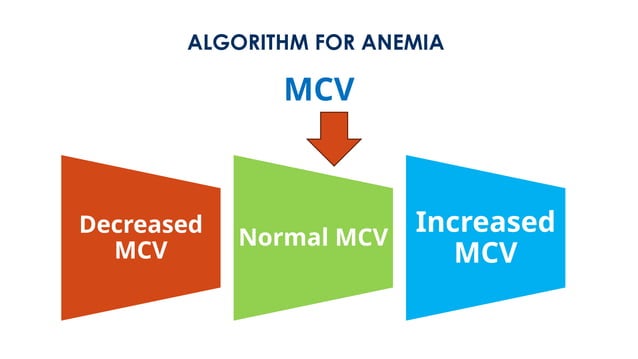anemia: A Quick Interpretation and Approach.pptx