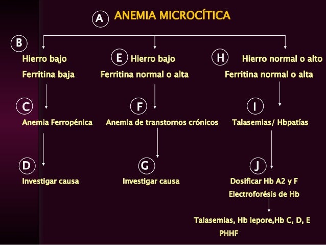 Niveles Altos De Ferritina: Causas, Diagnóstico Y Tratamiento – CZHQM
