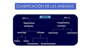 Anemias Perfil Del Paciente Pptx