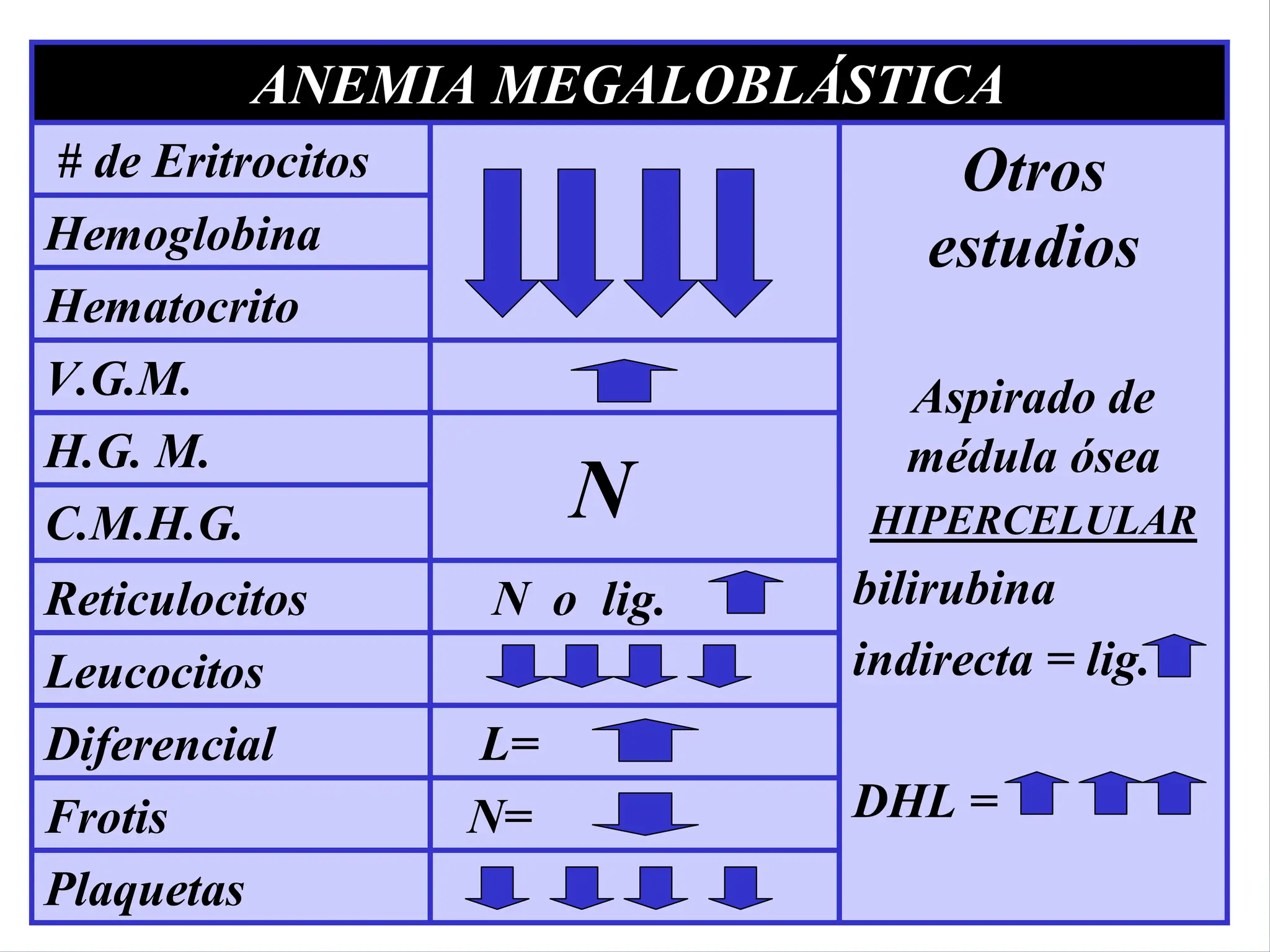 ANEMIAS, TIPOS, CAUSAS Y SINTOMAS MAS COMUNES, TRATAMIENTO. | PPT