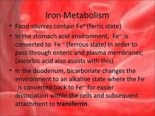 Anemias interpretation of cbc 2010rev | PPT