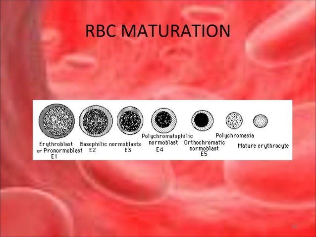 Anemias interpretation of cbc 2010rev | PPT