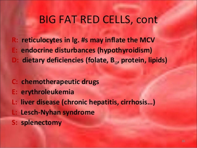 Anemias interpretation of cbc 2010rev