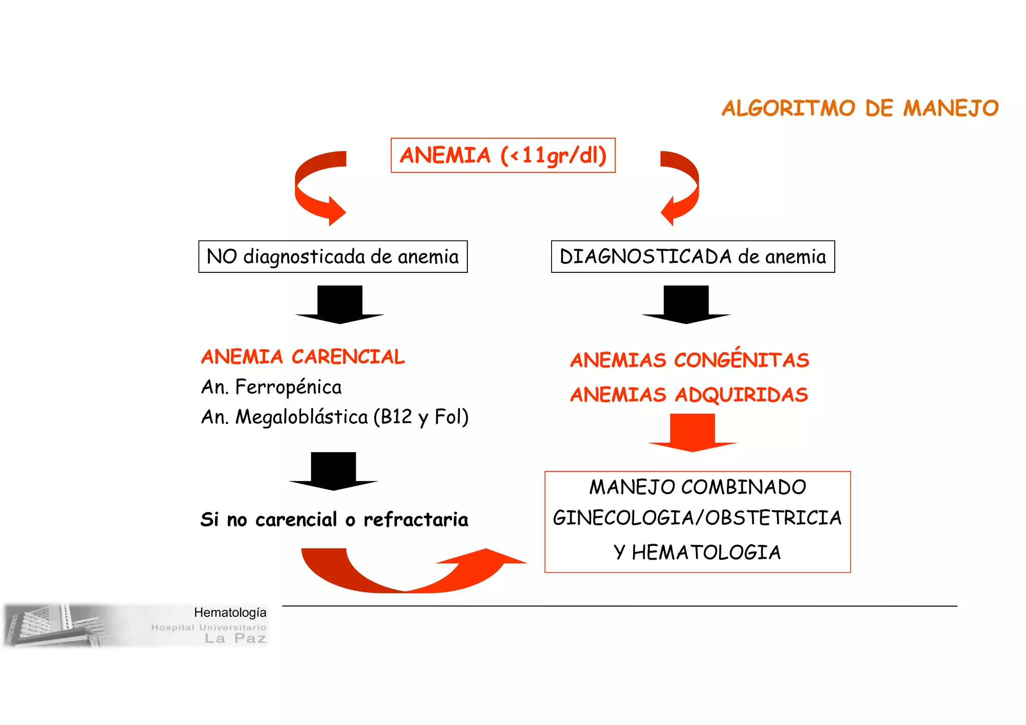Anemias. Diagnóstico diferencial y tratamiento | PPT