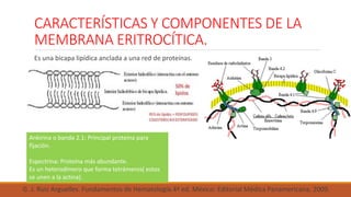 anemiashemolticascausadasportrastornosdelamembrana-170326222143 (1).pdf