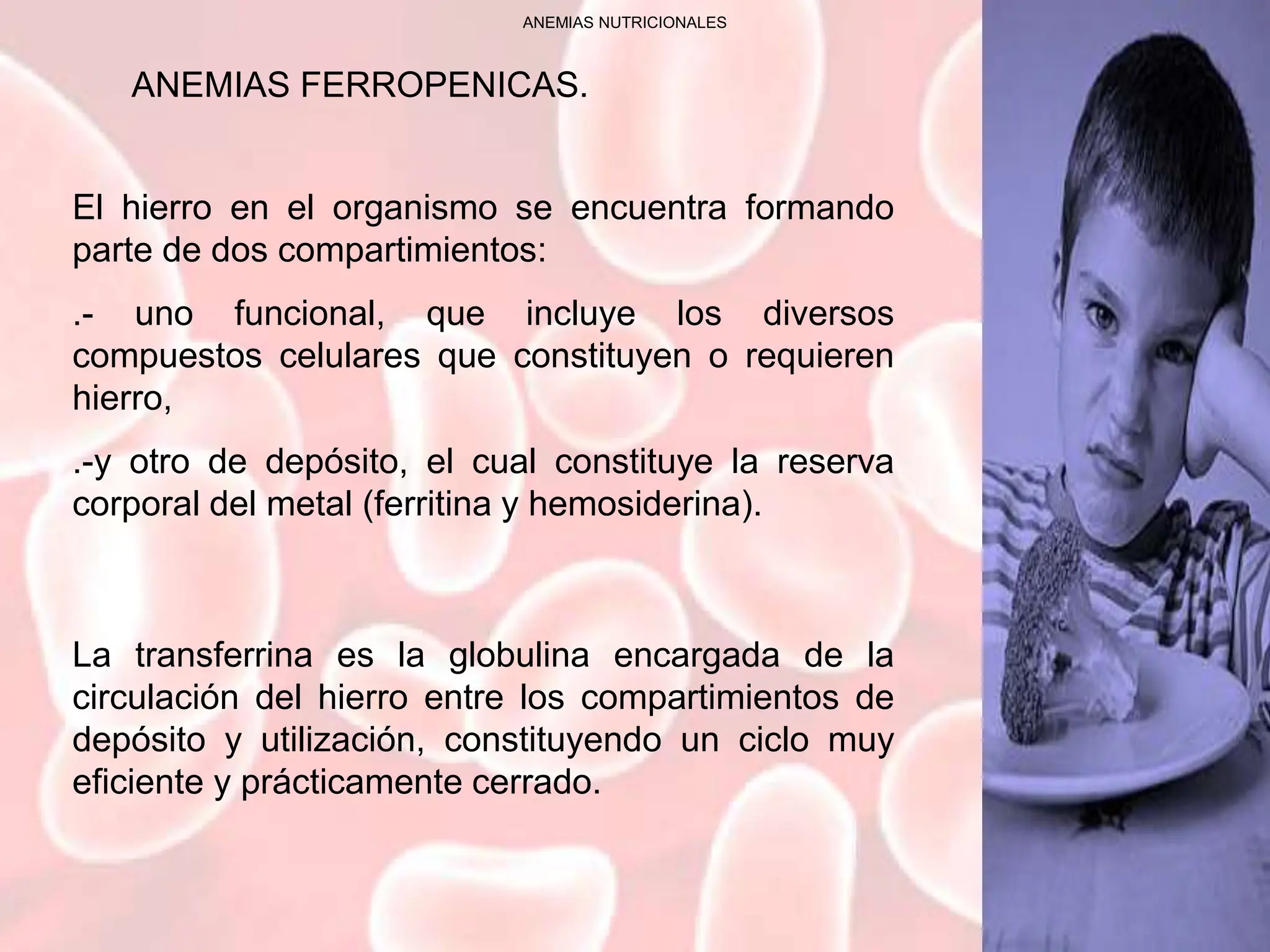 ANEMIAS NUTRICIONALES PEDIATRIA ERA ACTUAL.ppt
