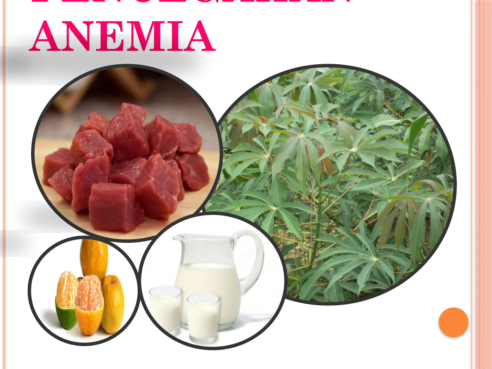 ANEMIA penyakit kekurangan sel darah merah | PPTX