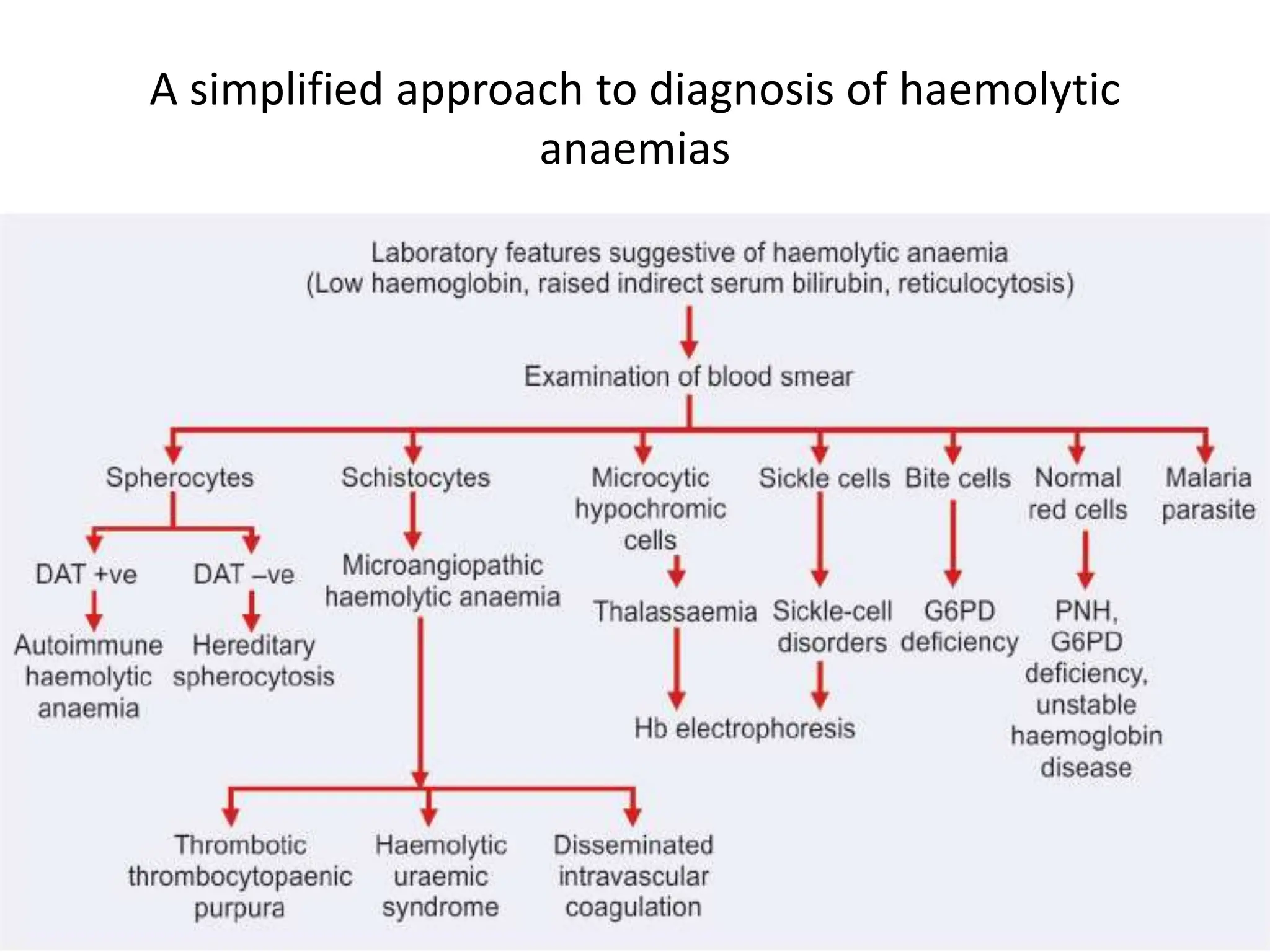 Anemia up to date classification and diagnosis .pptx
