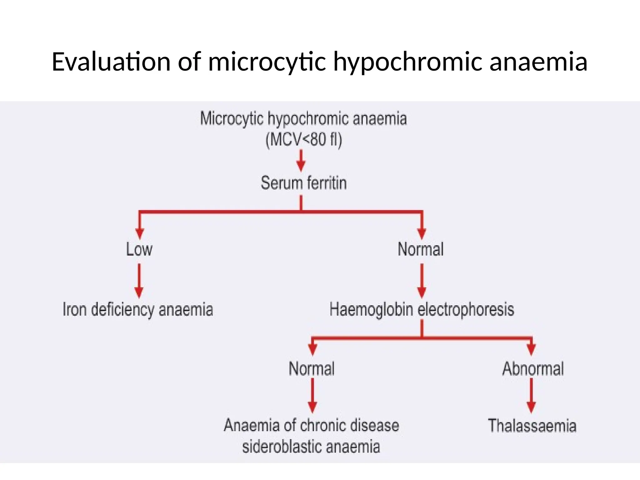 Anemia update diagnosis and management .pptx