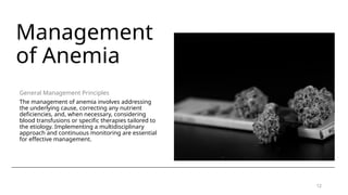 Anemia Work Up and Evaluation of Different Causes.pptx