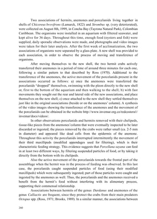 Anemone hermitcrab pdf | PDF | Fish and Aquariums | Pets