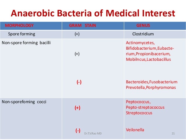 Anaerobic Bacteriology