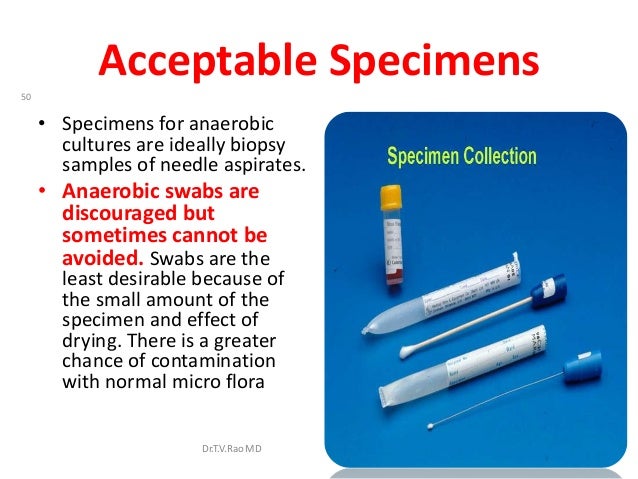 Anaerobic Bacteriology
