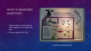 Anerobic digestions presentations 1 | PPT