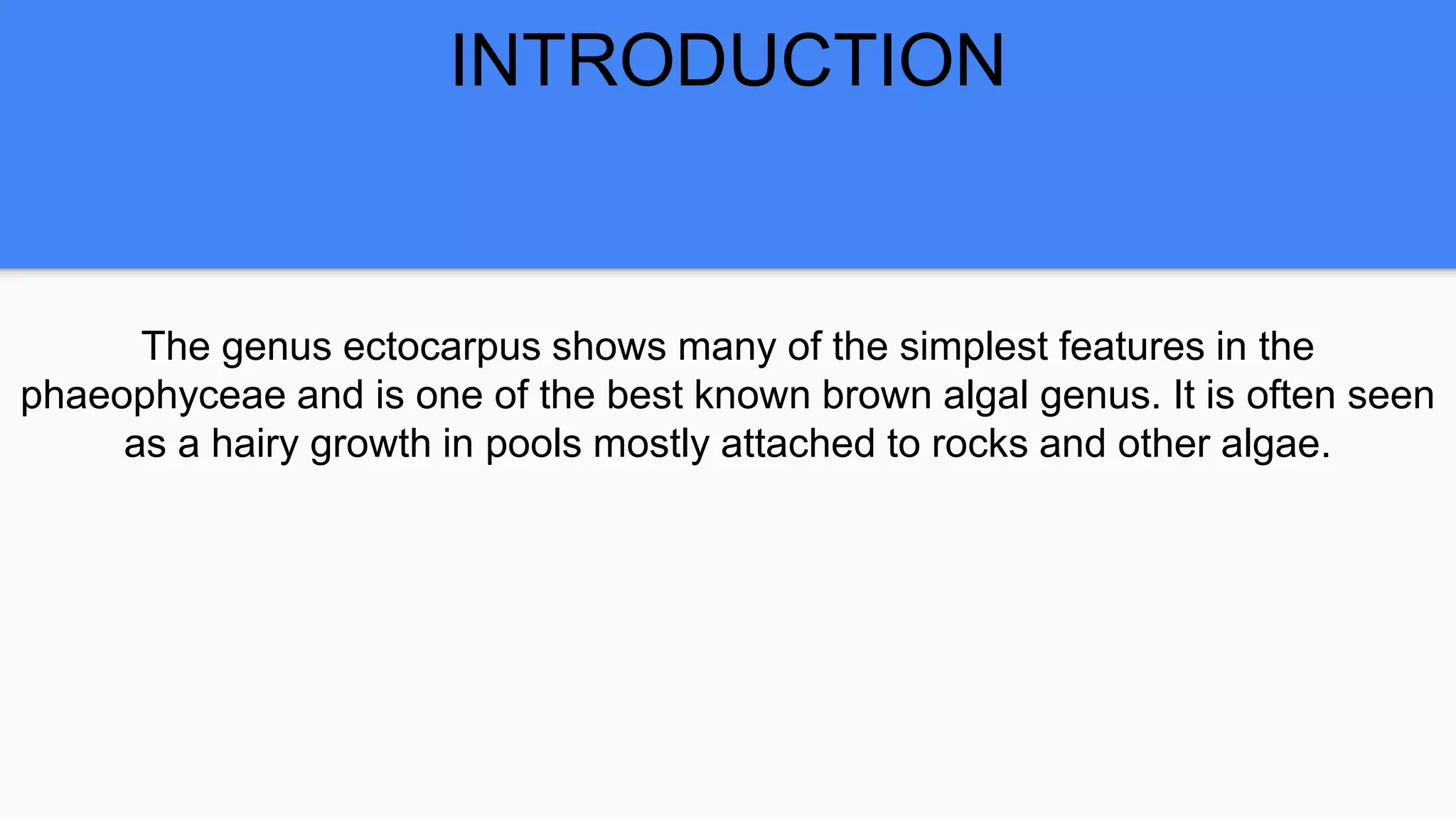 Ectocarpus | PPTX
