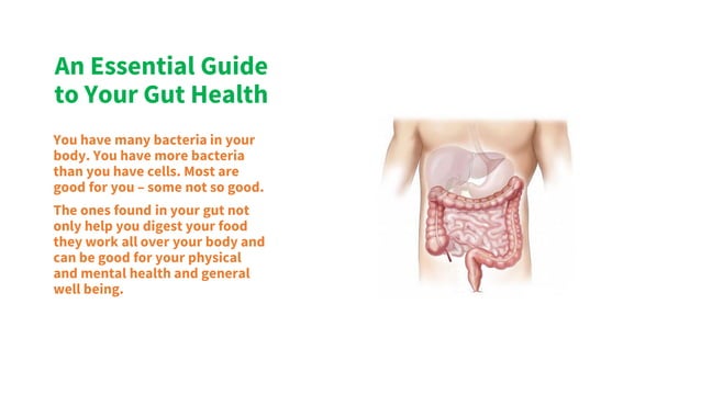 8 Key Issues: An Essential Guide to Your Gut Health | PPT