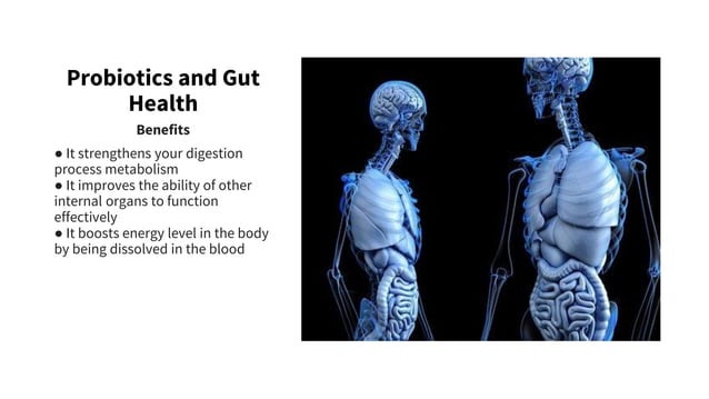 8 Key Issues: An Essential Guide to Your Gut Health | PPT