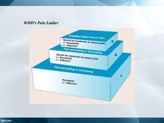 Anestesi | PPT