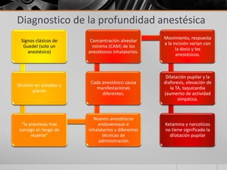 Anestesia cirugia | PPTX