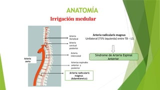 ANESTESIA DEL NEUROEJE MD JENNY PILLAJO.pptx
