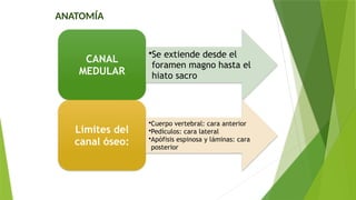 ANESTESIA DEL NEUROEJE MD JENNY PILLAJO.pptx