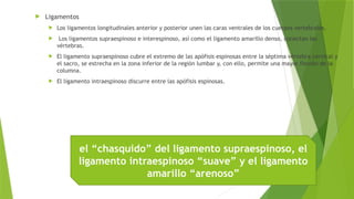ANESTESIA DEL NEUROEJE MD JENNY PILLAJO.pptx