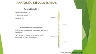 ANESTESIA DEL NEUROEJE MD JENNY PILLAJO.pptx