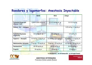 Anestesia en cerdos | PDF