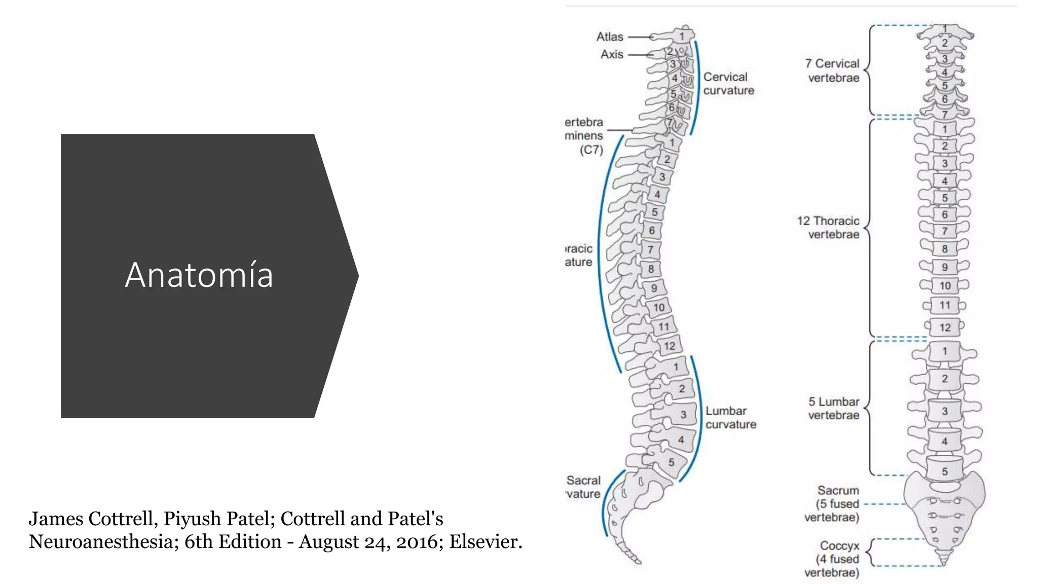 Anestesia en Cirugía de Columna y Trauma Raquimedular.pptx
