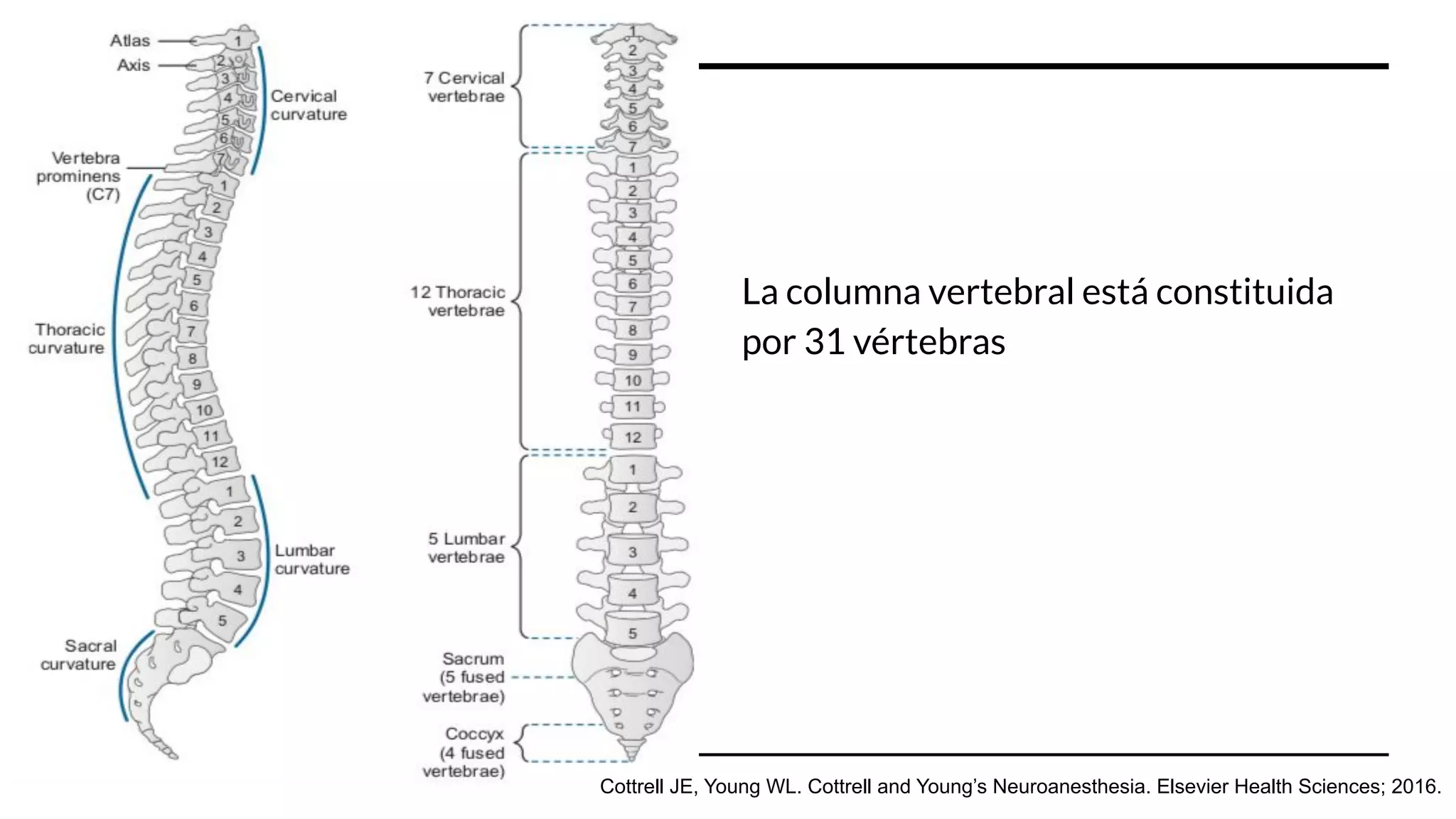 ANESTESIA EN CIRUGIA DE COLUMNA .pdf