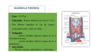 ANESTESIA EN ENFERMEDAD DE LA GLANDULA TIROIDEA.pptx