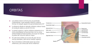 Antestesia utilizada y fisiologia en cirugas oftalmologicas | PPTX