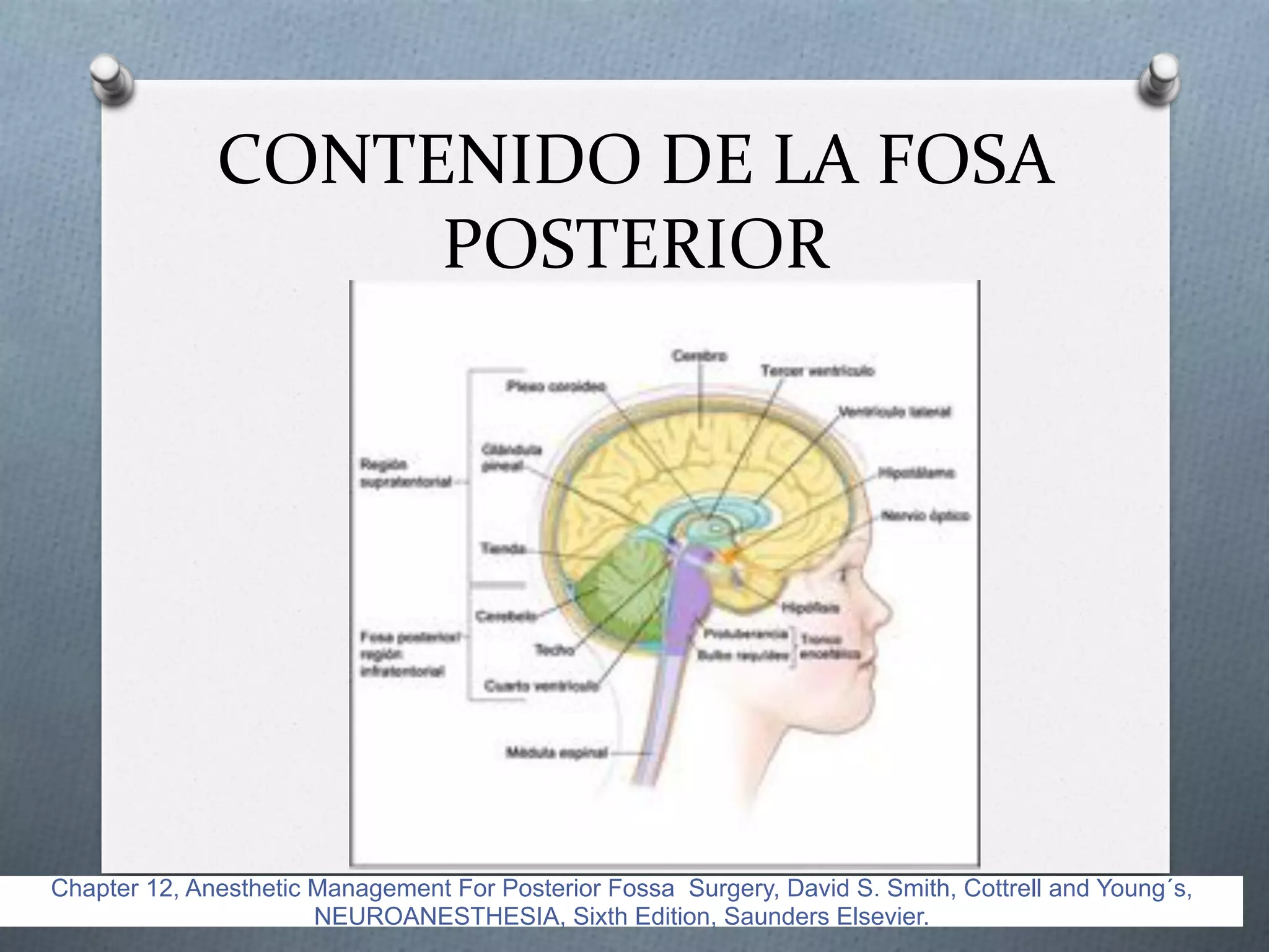 Anestesia para fosa posterior | PDF