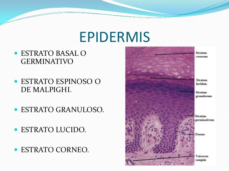 Anestesia para paciente quemado pediatrico