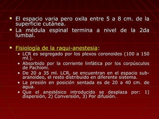 Anestesia raquidea | PPT