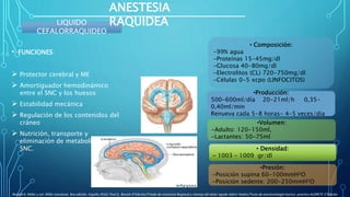 Anestesia Raquidea pediatria 122222).pptx