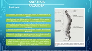 Anestesia Raquidea pediatria 122222).pptx