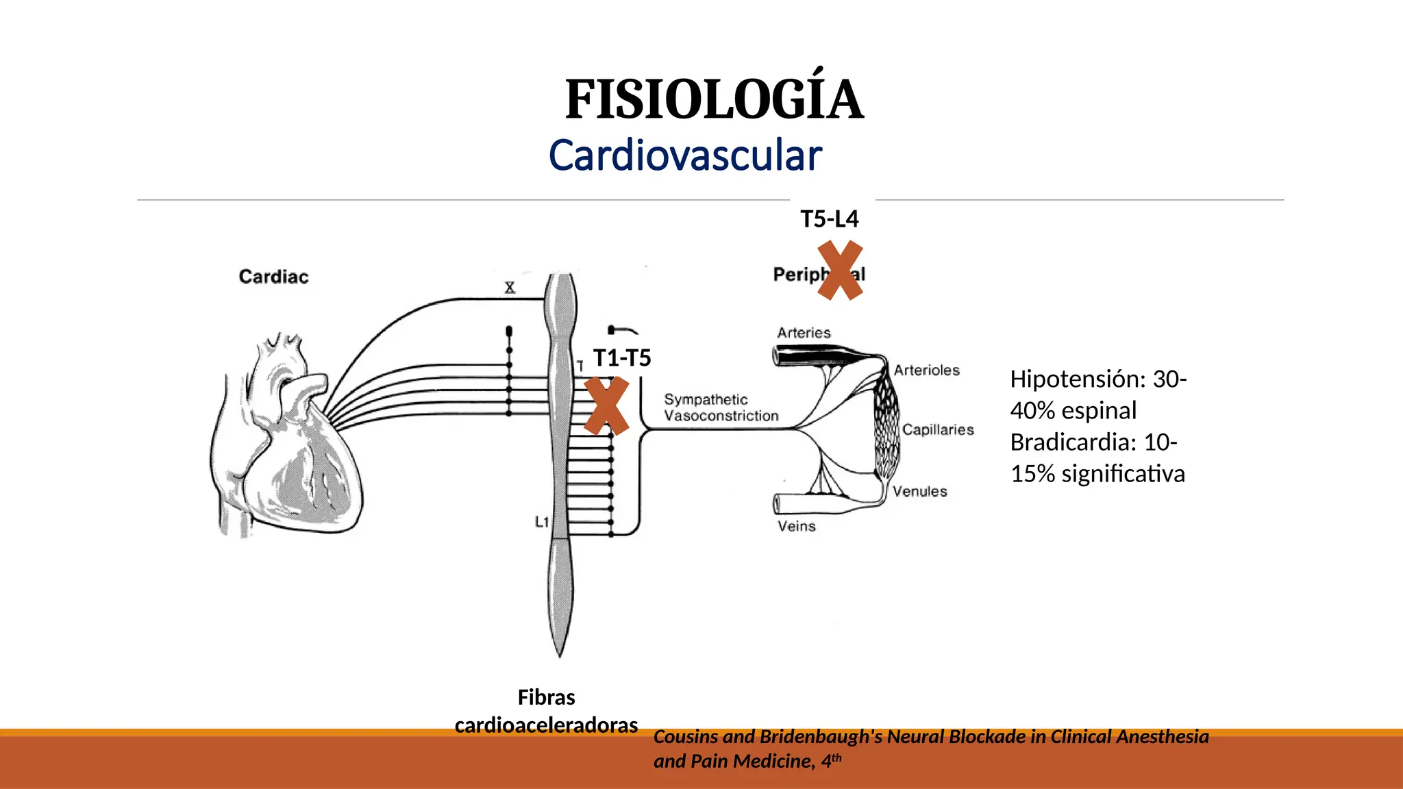 ANESTESIA RAQUIDEA ACTUAL ASPECTOS FISIOLOGICOS.pptx