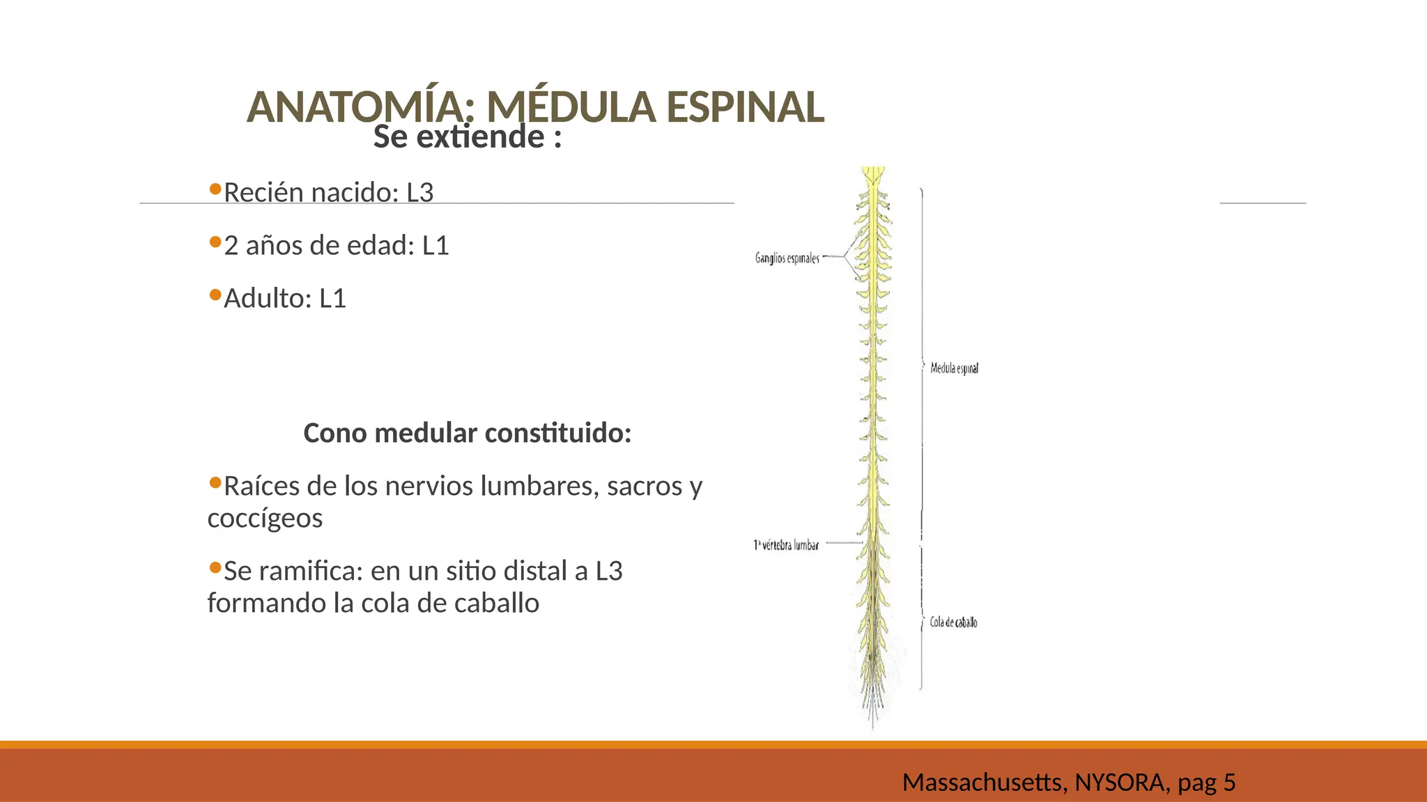 ANESTESIA RAQUIDEA ACTUAL ASPECTOS FISIOLOGICOS.pptx