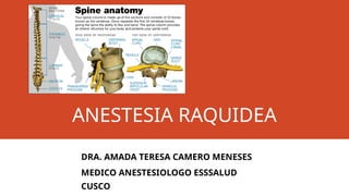 ANESTESIA RAQUIDEA HISTORIA ANATOMIA Y MANEJO.pptx