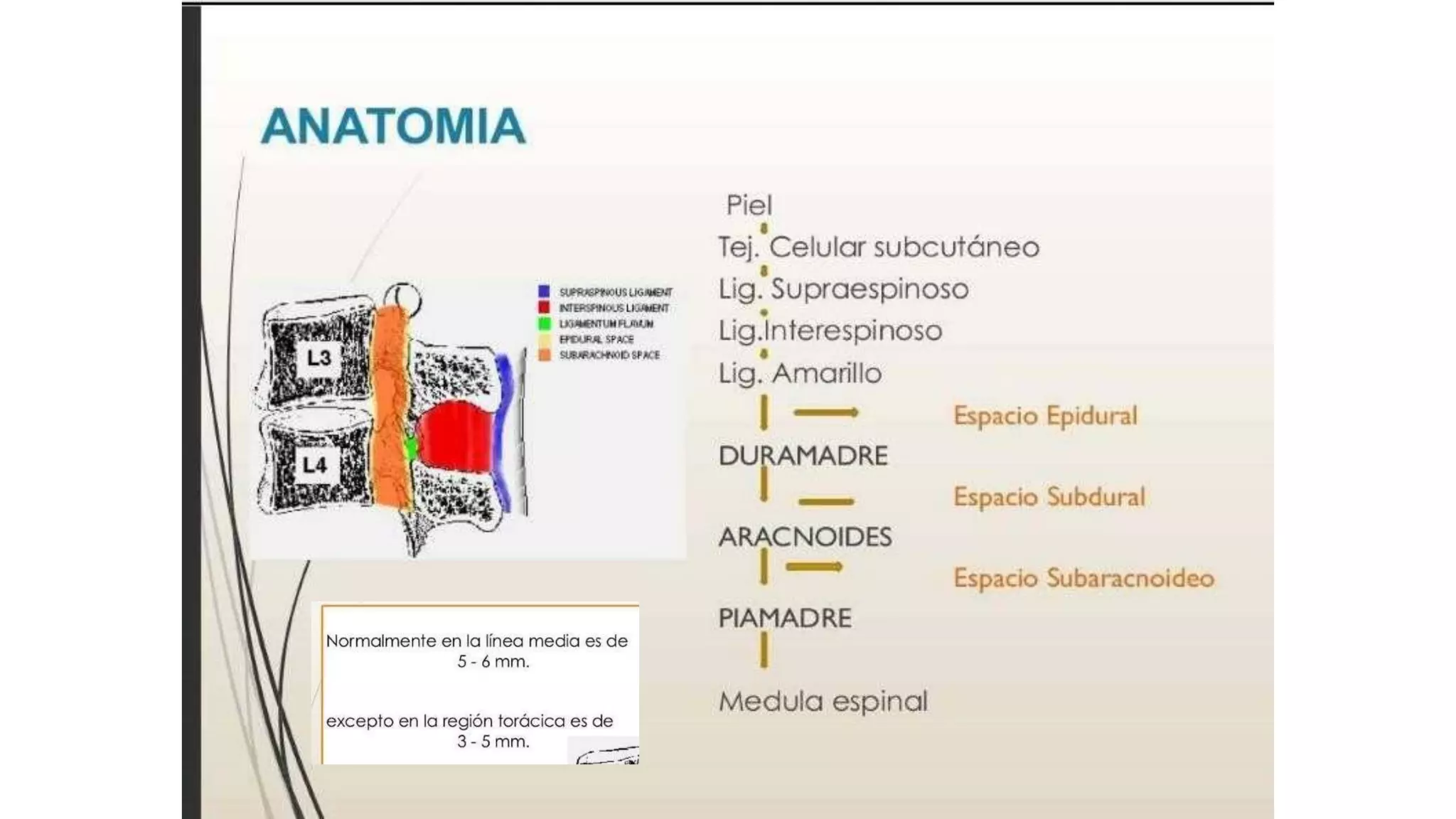 ANESTESIA RAQUIDEA Y EPIDURAL.pptx | Surgery | Medical Health