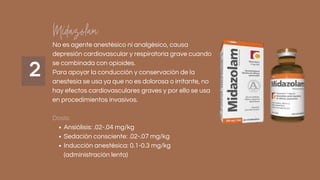 los anestésicos mas importantes juto sus funciones | PDF