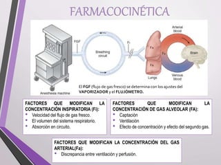 Anestesicos inhalables | PPTX