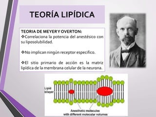 Anestesicos inhalables | PPTX