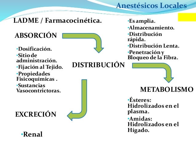 Anestesicos Locales